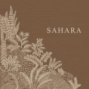 Collections – Holden Decor